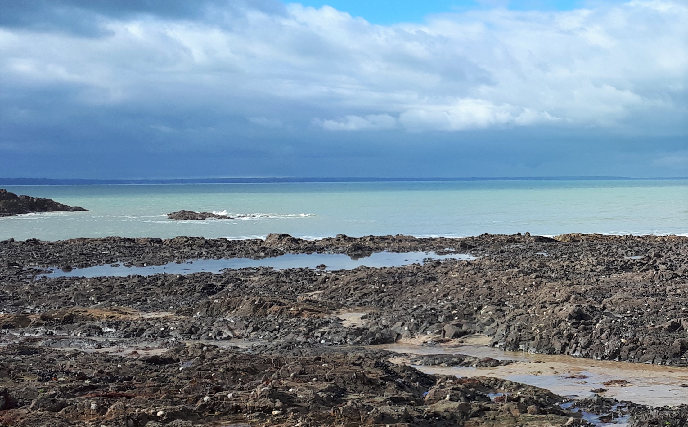 Nouvelle année - Delphine Boiron - ArkaYoga